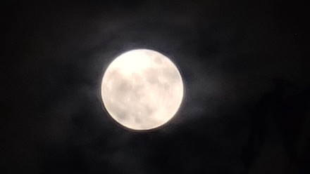 250 Corn moon Stock Pictures, Editorial Images and Stock Photos ...