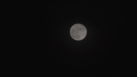 Full Corn Moon Other Cultures They Editorial Stock Photo - Stock Image ...