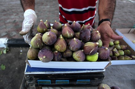 Palestinian Man Sells Figs He Wears Editorial Stock Photo - Stock Image ...