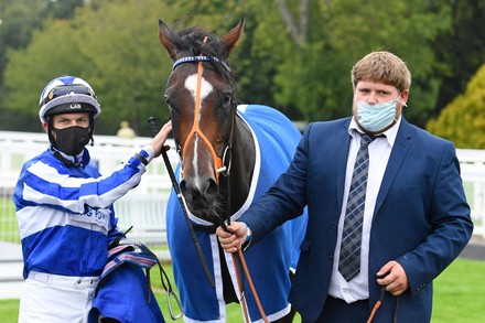 Winner Shadwell Novice Stakes Plus 10 Editorial Stock Photo - Stock ...