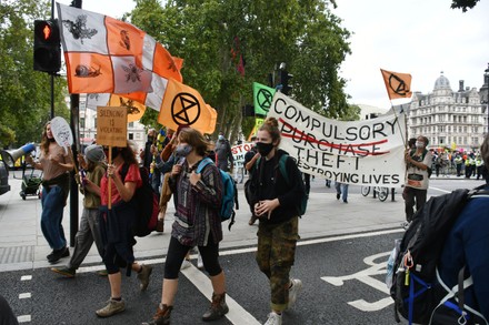 Extinction Rebellion Stop Hs2 Protest Editorial Stock Photo - Stock ...