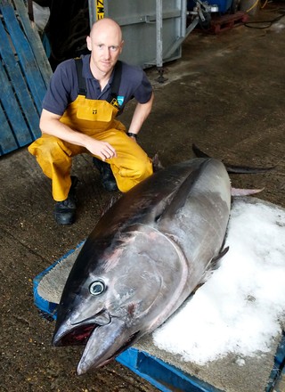 Enormous Rare Fish Which One Worlds - Foto de stock de contenido ...