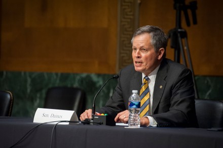 United States Senator Steve Daines Republican Editorial Stock Photo ...