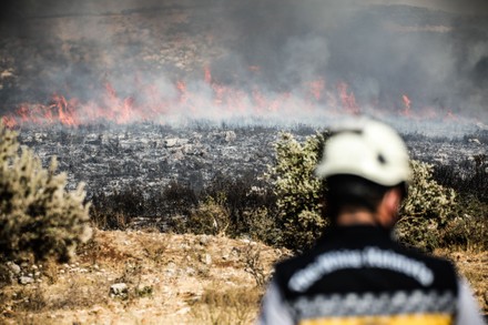 View Fires During Forest Fire Countryside Editorial Stock Photo - Stock ...