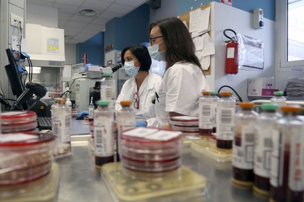 Microbiology Laboratory Santagostino Estense Hospital Baggiovara ...