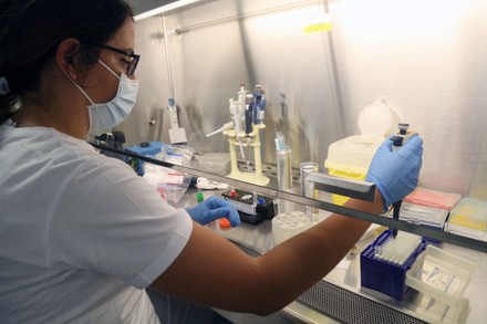 Microbiology Laboratory Santagostino Estense Hospital Baggiovara ...