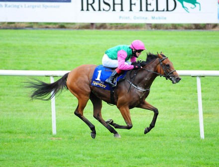 Horse Racing - 15 Sep 2020 Stock Pictures, Editorial Images and Stock ...