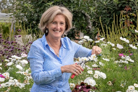 __COUNT__ Pam Watts British Airways court case, London, UK - 16 Sep ...