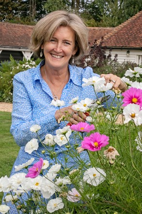 __COUNT__ Pam Watts British Airways court case, London, UK - 16 Sep ...