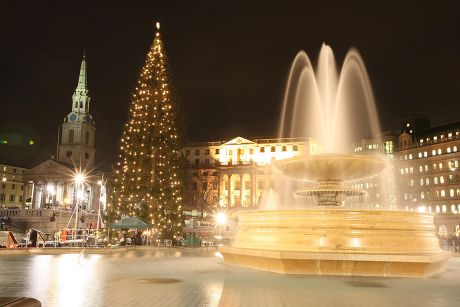 Norwegian Christmas Tree Lit All Splendour Editorial Stock Photo ...