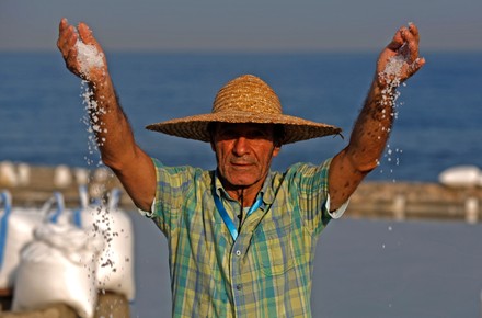 Man Shows Salt Salt Evaporation Ponds Editorial Stock Photo - Stock ...