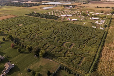 __COUNT__ Huge corn maze in Spring Grove, Illinois, USA - 22 Sep 2020 ...