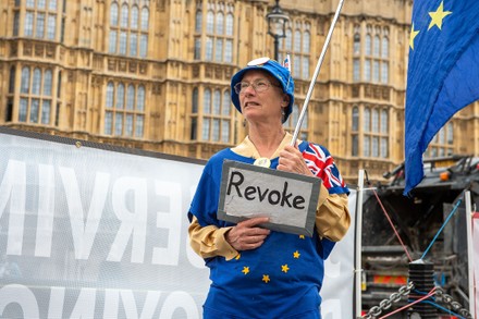 Brexit Remain Pie Chart Sign Propped Editorial Stock Photo - Stock ...