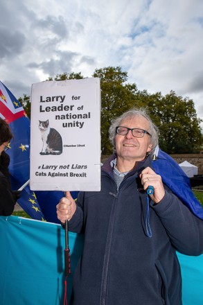 24 Brexit Remain Campaign, Westminster, London, UK - 29 Oct 2019 Stock ...