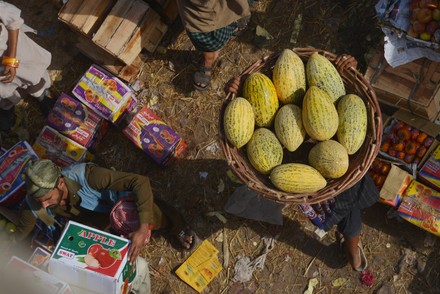 Pakistani Farmers Busy Unloading Their Trucks Editorial Stock Photo ...