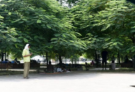 People Resting Under Canopy Trees On Editorial Stock Photo - Stock ...