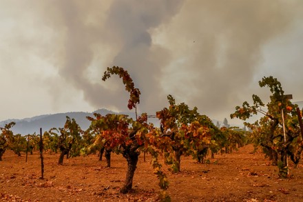 Smokefilled Sky Glass Fire Burns Napa Editorial Stock Photo - Stock ...