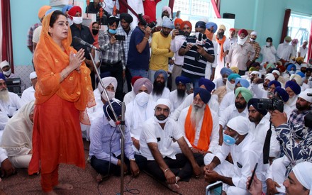 Shiromani Akali Dal Sad Mp Harsimrat Editorial Stock Photo - Stock Image | Shutterstock