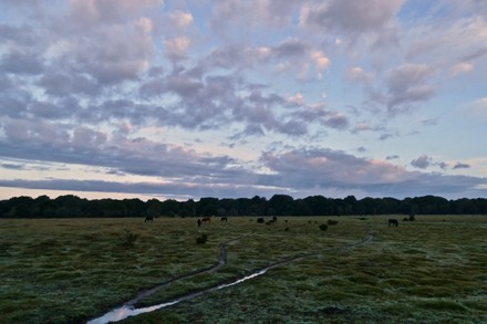 Seasonal weather, The New Forest, Hampshire, UK - 01 Oct 2020 Stock ...