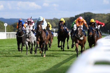 6,000 Salisbury racecourse Stock Pictures, Editorial Images and Stock ...