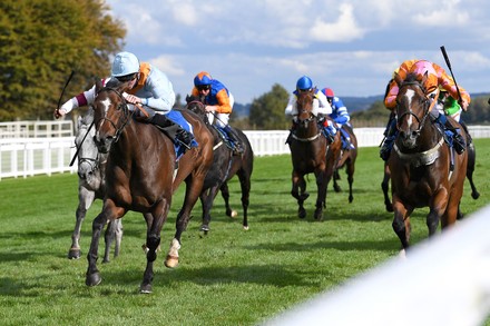 6,000 Salisbury racecourse Stock Pictures, Editorial Images and Stock ...