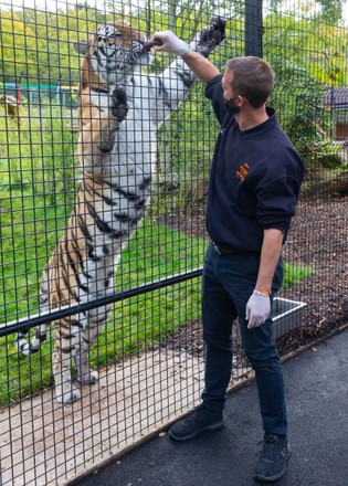 12 Giles clark conservationist Stock Pictures, Editorial Images and ...