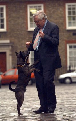 Roy Hattersley His Dog Buster Staffordshire Editorial Stock Photo ...