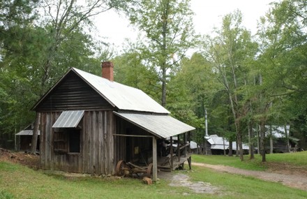 Jarrell Plantation State Historic Site Cotton Editorial Stock Photo ...