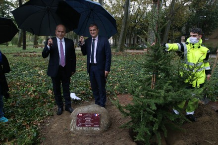 Louis Aliot and the Lebanese mayor Wissam Zaarour plant a cedar tree ...