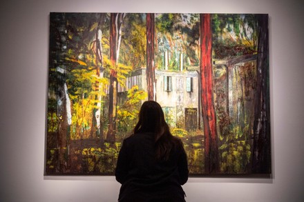 45 Sir david webster Stock Pictures, Editorial Images and Stock Photos ...