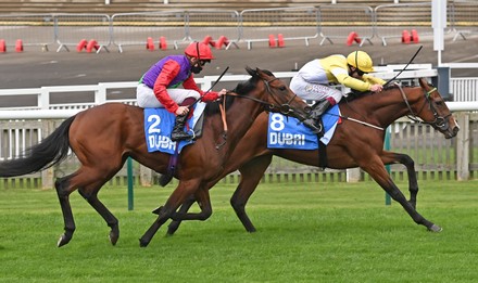 Horse Racing from Newmarket Racecourse, UK - 10 Oct 2020 Stock Pictures ...
