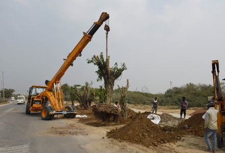 Tree Being Replanted After Removed Due Editorial Stock Photo - Stock ...