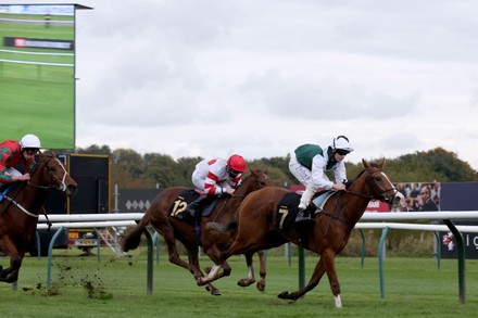 Nottingham Races, 14OCT20 - 14 Oct 2020 Stock Pictures, Editorial ...