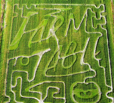 __COUNT__ Corn maze opens in Mt. Dora, US Stock Pictures, Editorial ...