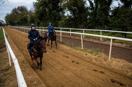 __COUNT__ 2020/2021 National Hunt Season Launch, Gordon Elliott's Yard ...