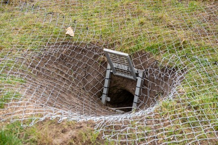 14 Badger one way gates Stock Pictures, Editorial Images and Stock ...