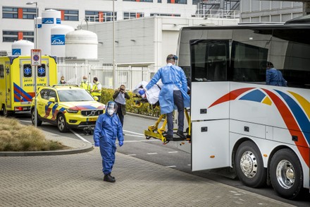 Patient Taken Special Ambulance Bus Which Editorial Stock Photo - Stock ...