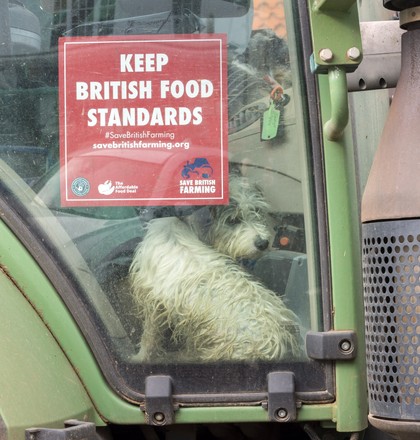 250 Save british farming Stock Pictures, Editorial Images and Stock ...