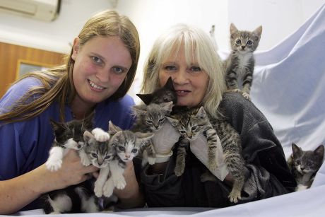 Ceila Hammond R Vetinary Nurse Louise Editorial Stock Photo - Stock ...