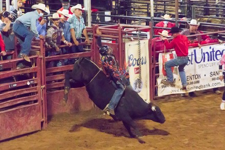 U.S. Texas Denton 2020 North Texas Fair and Rodeo - 22 Oct 2020 Stock ...