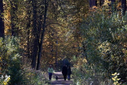 Weather in Latvia, Riga - 24 Oct 2020 Stock Pictures, Editorial Images ...