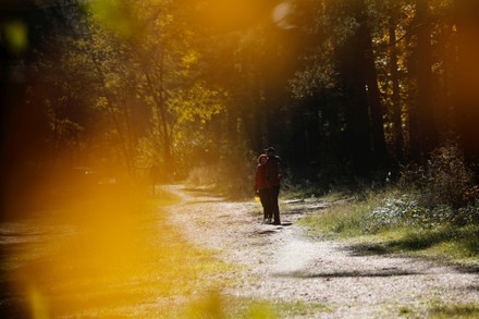 Weather in Latvia, Riga - 24 Oct 2020 Stock Pictures, Editorial Images ...