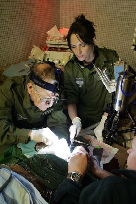 Dental Surgeon Peter Kertsez Operates On Editorial Stock Photo - Stock ...