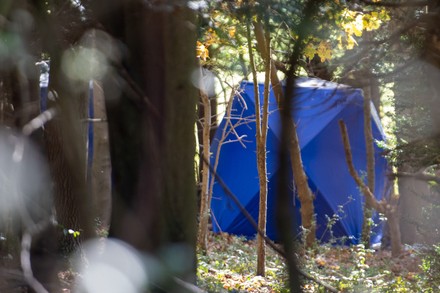Forensic Tent Woodland Where Dead Woman Editorial Stock Photo - Stock ...