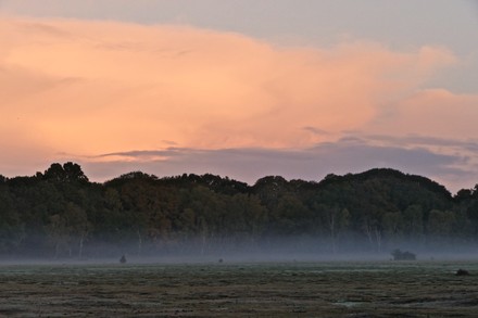 Seasonal weather, The New Forest, Hampshire, UK - 26 Oct 2020 Stock ...