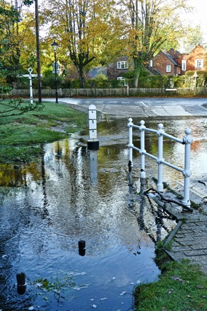 Seasonal weather, Brockenhurst, Hampshire, UK - 26 Oct 2020 Stock ...