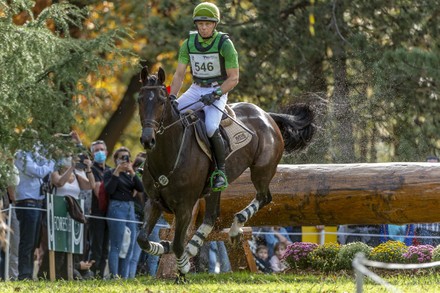 Aistis Vitkauskas 546 Ltu Horse Commander Editorial Stock Photo - Stock ...