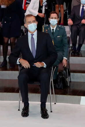 King Felipe Vi Editorial Stock Photo - Stock Image | Shutterstock