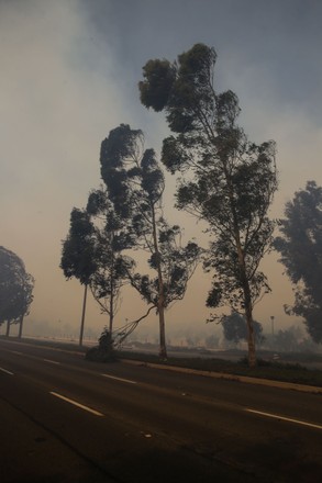 13 Portola fire Stock Pictures, Editorial Images and Stock Photos ...