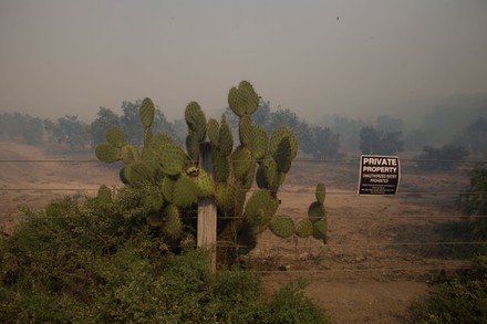 13 Portola fire Stock Pictures, Editorial Images and Stock Photos ...